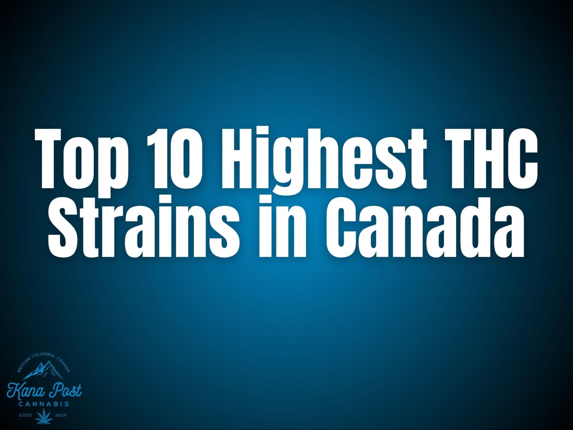 Top 10 Highest THC Strains in Canada (2025 Picks)