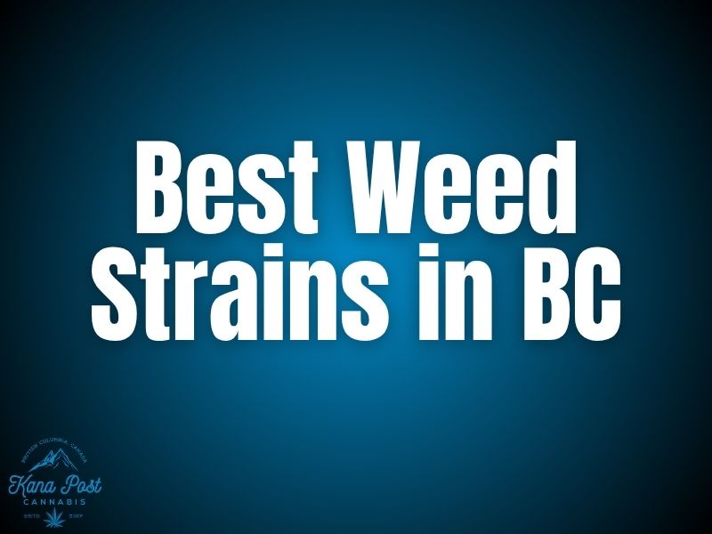 Best Weed Strains in BC | Top 10 Picks for Potency & Flavor