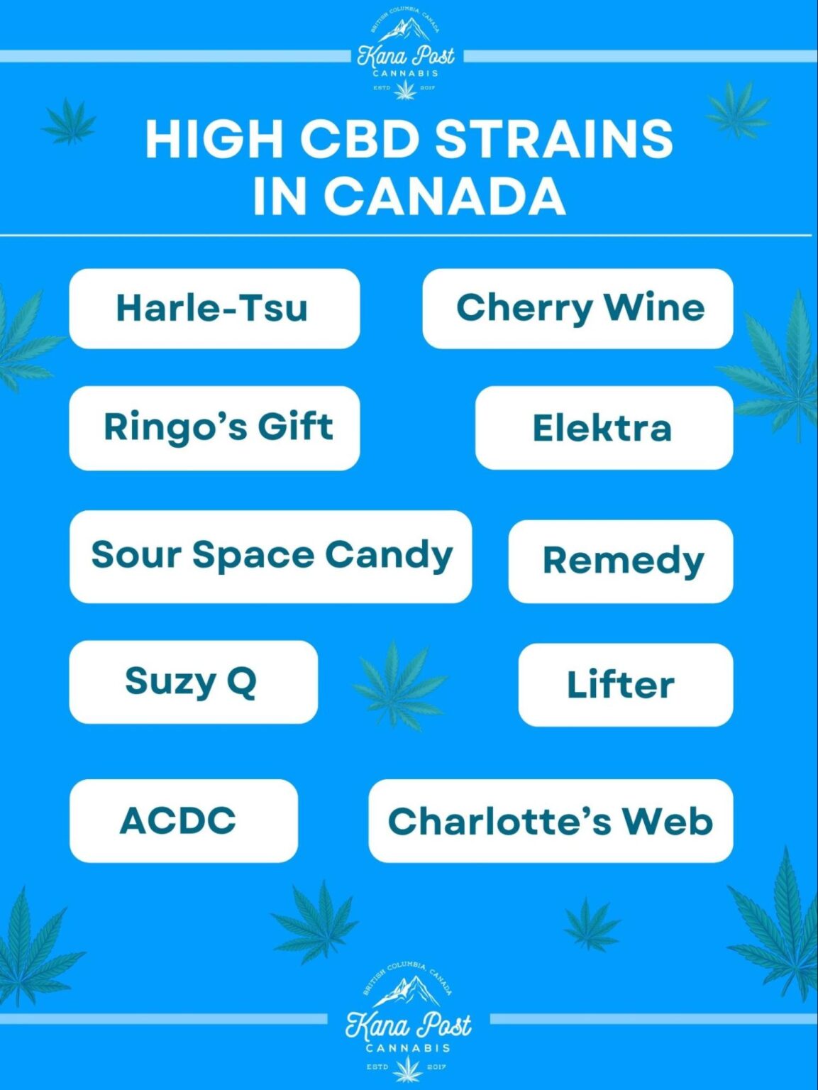 Top High-CBD Strains in Canada for Calm and Clarity