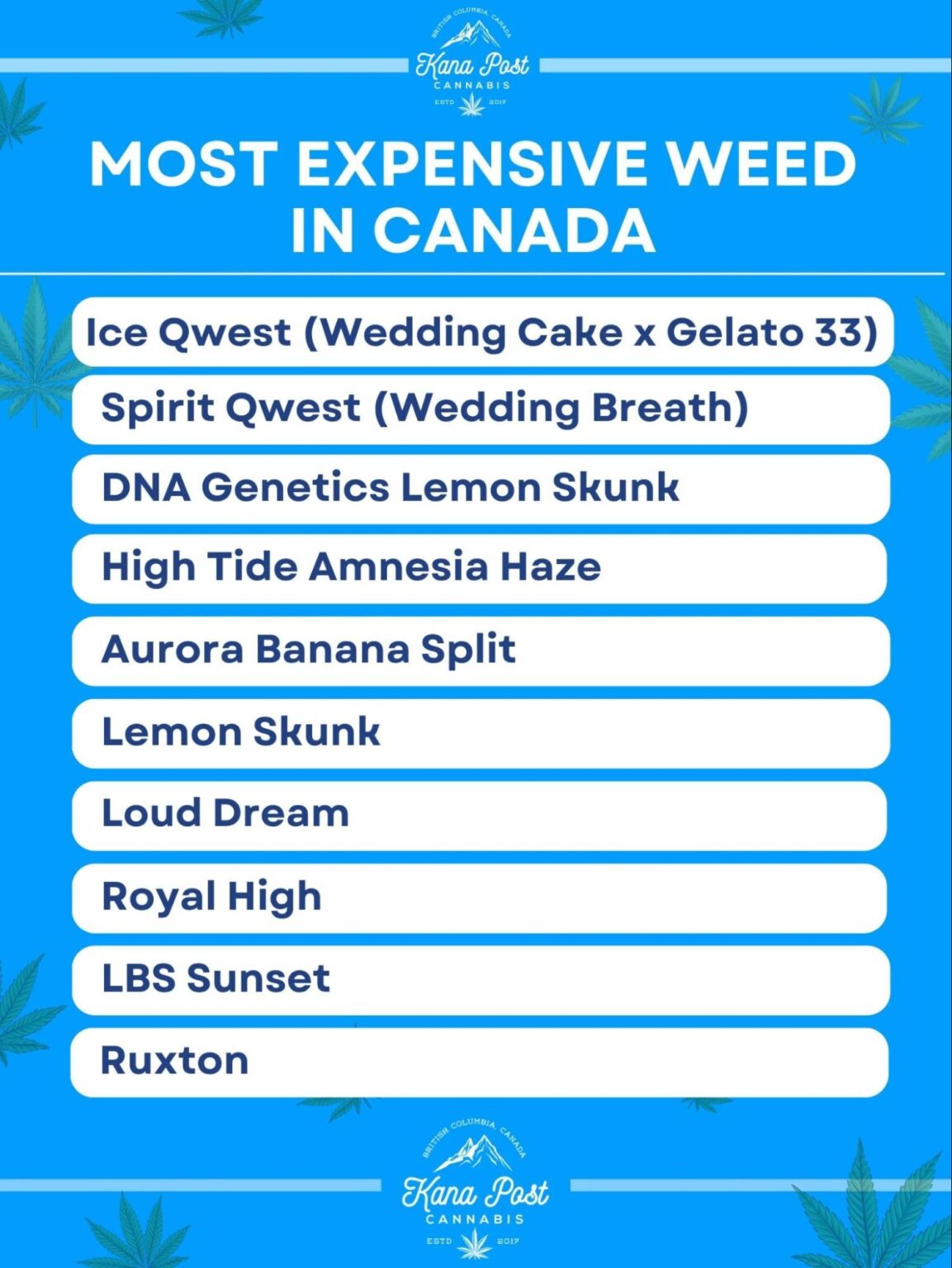 Most Expensive Weed in Canada | Top Strains & Prices